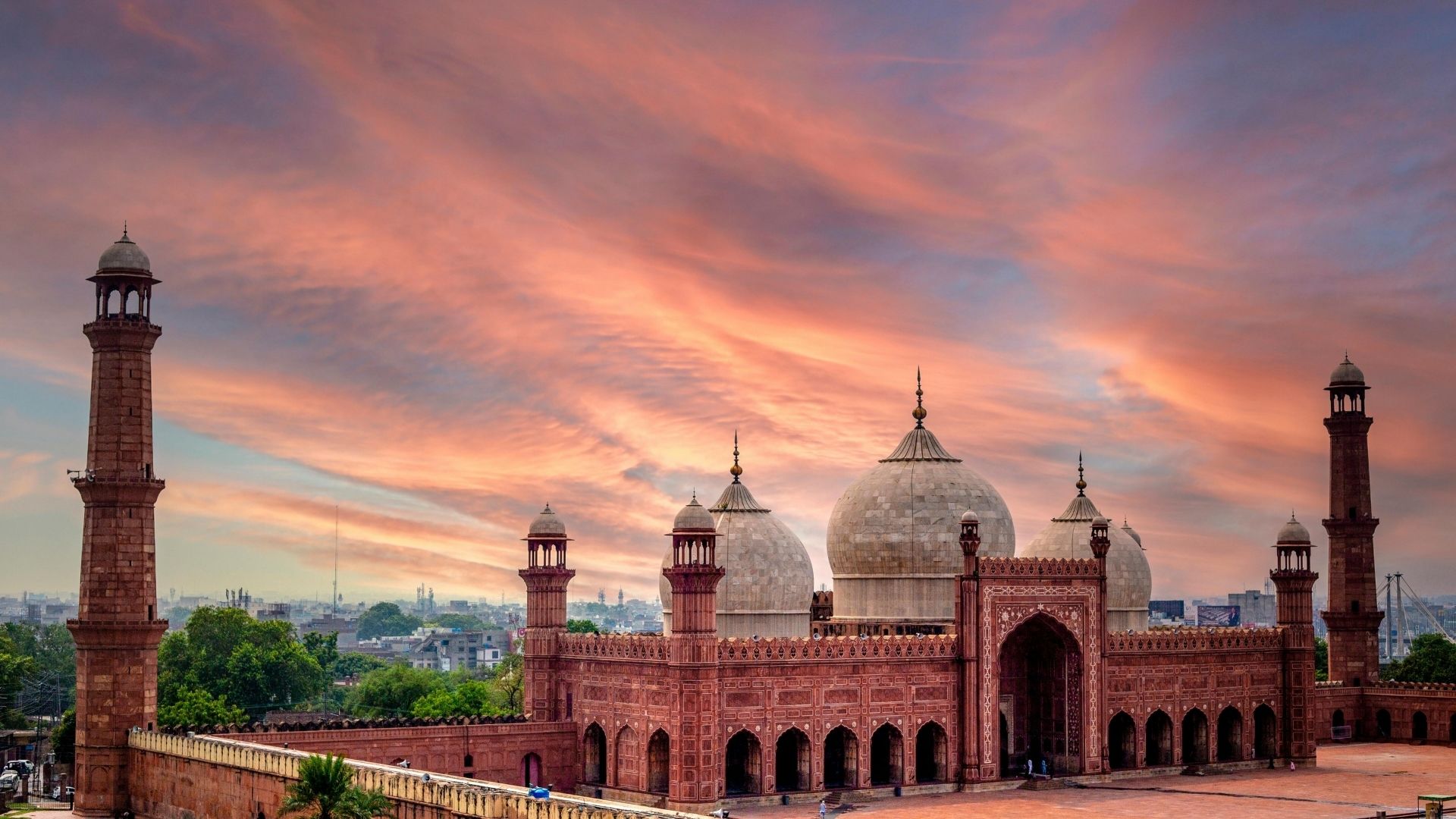 Skills Development Program Professional Training & Future Programs ...